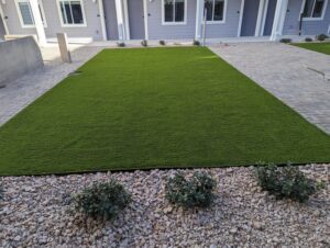 Gallery - Number One Turf