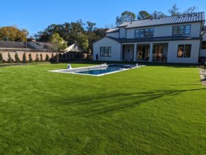 Gallery - Number One Turf