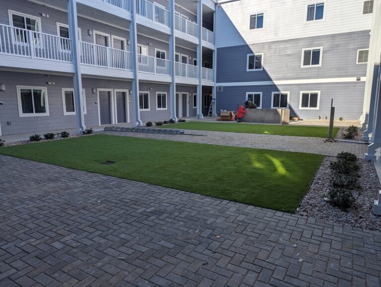 Gallery - Number One Turf