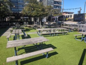 Gallery - Number One Turf